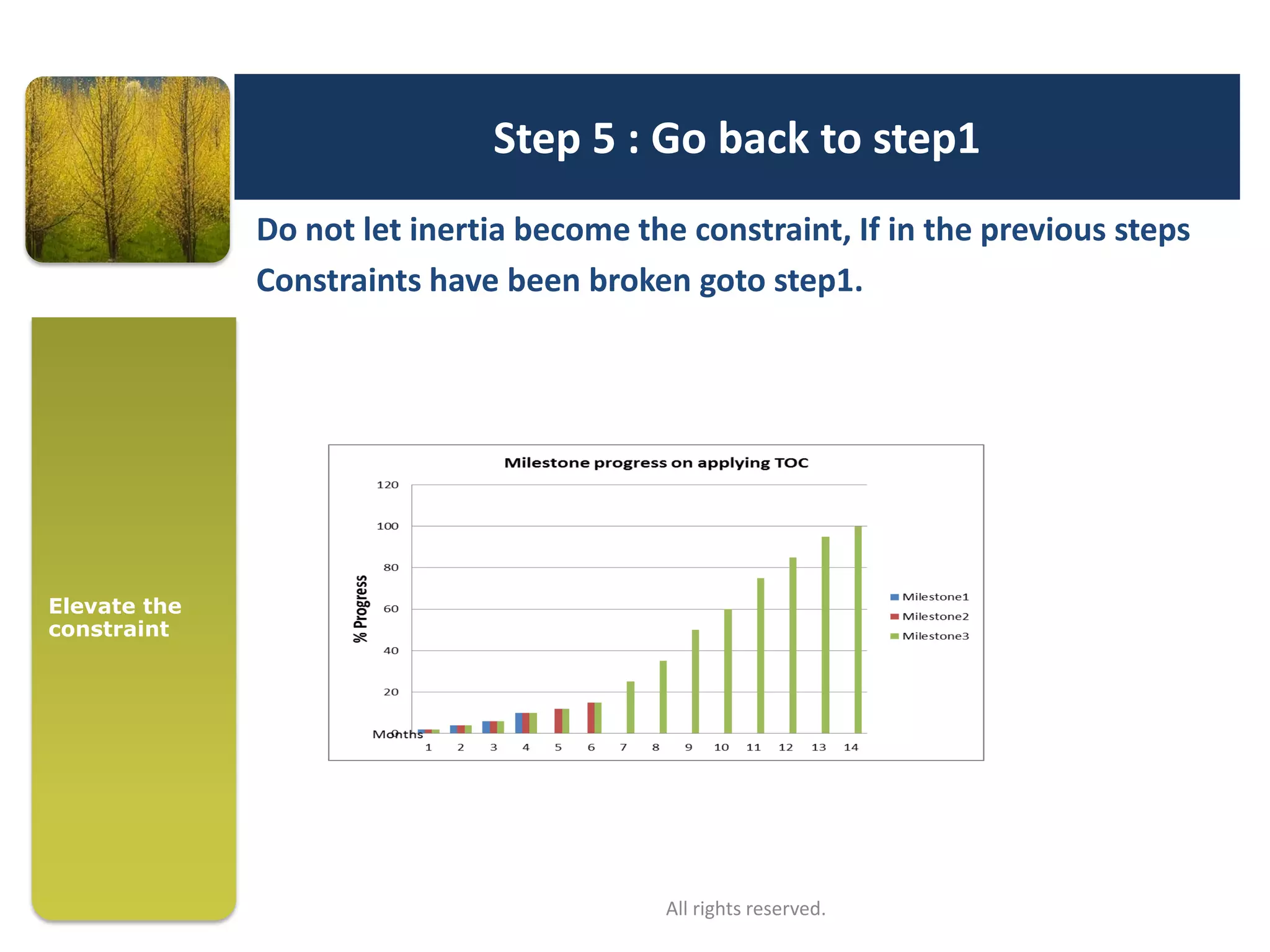 Toc service industry | PPT