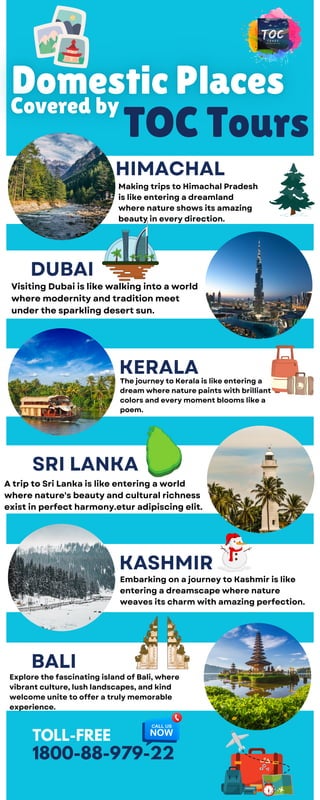 TOC Tours Infographic.pdf