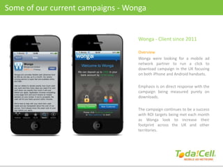 Todacell Overview 2012 | PPT