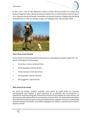 Razas de perro | DOCX