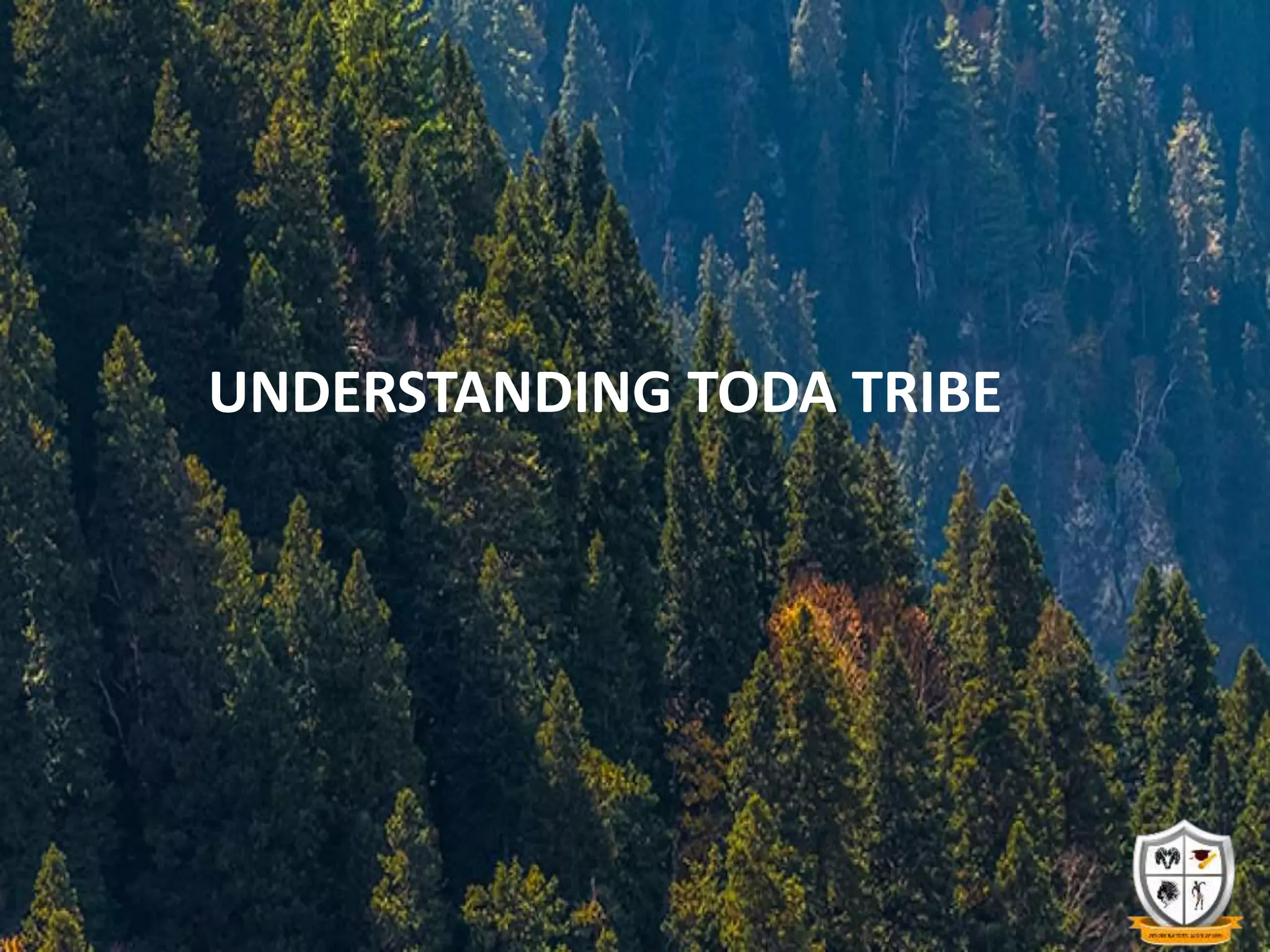 Toda tribe intro | PPSX