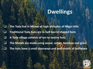 Toda tribe intro | PPSX