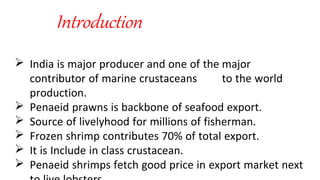 Shrimp | PPT