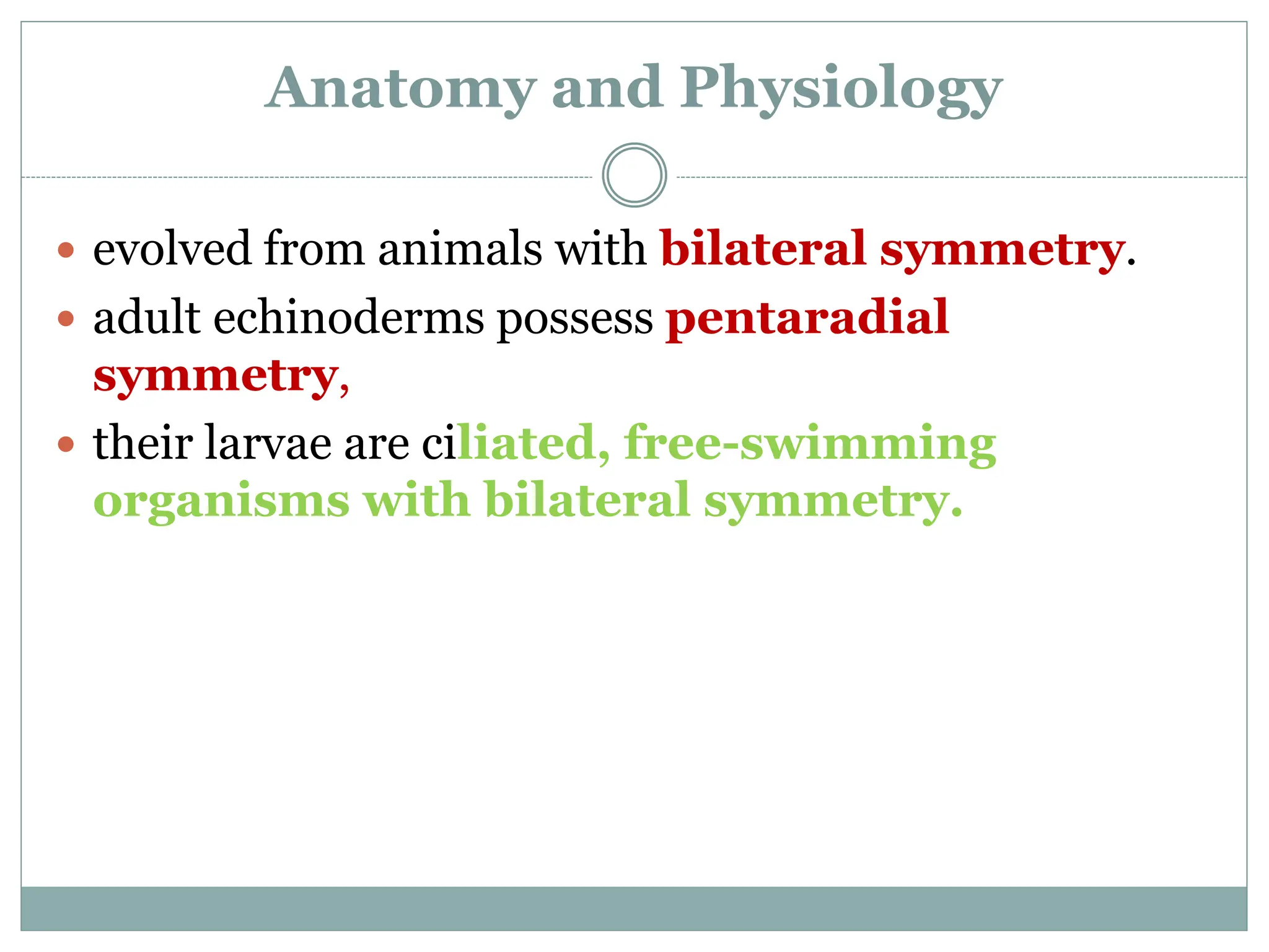 today final (2) - Copy.pptx of echinoderms | PPTX