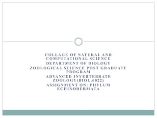 today final (2) - Copy.pptx of echinoderms | PPT