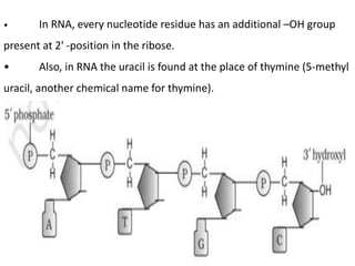 today's class PPT.pptx pre university college | PPT