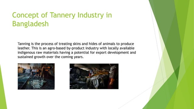 “Health and Environmental Security of Tannery Industry In Bangladesh by Aadil Shaakir" | PPTX