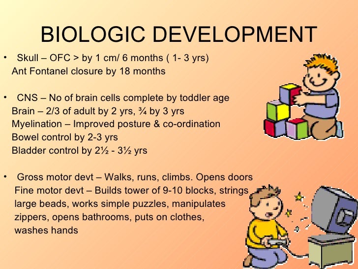 Toddler Age Toddler Age