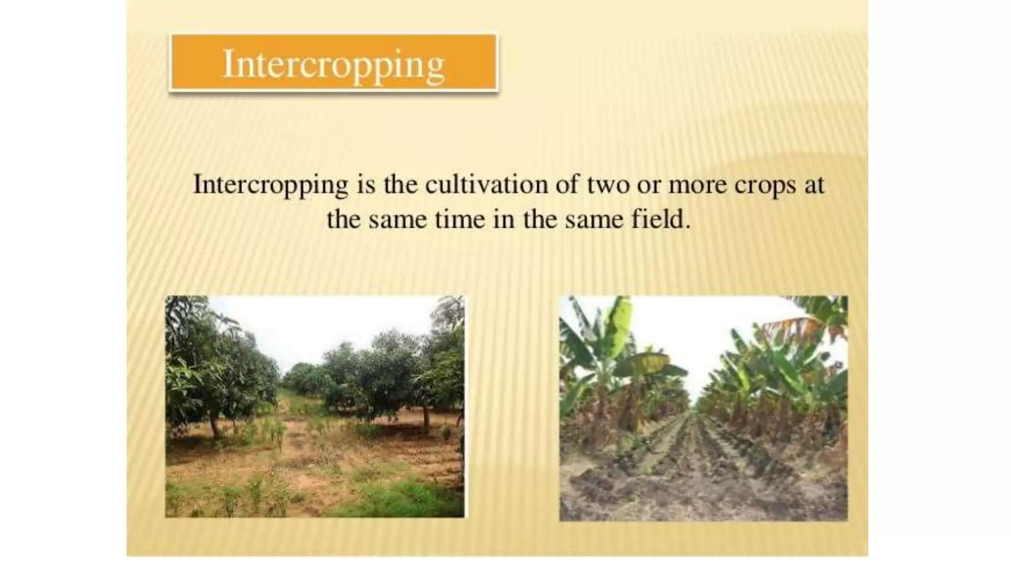 To develop a model cropping system | PPTX
