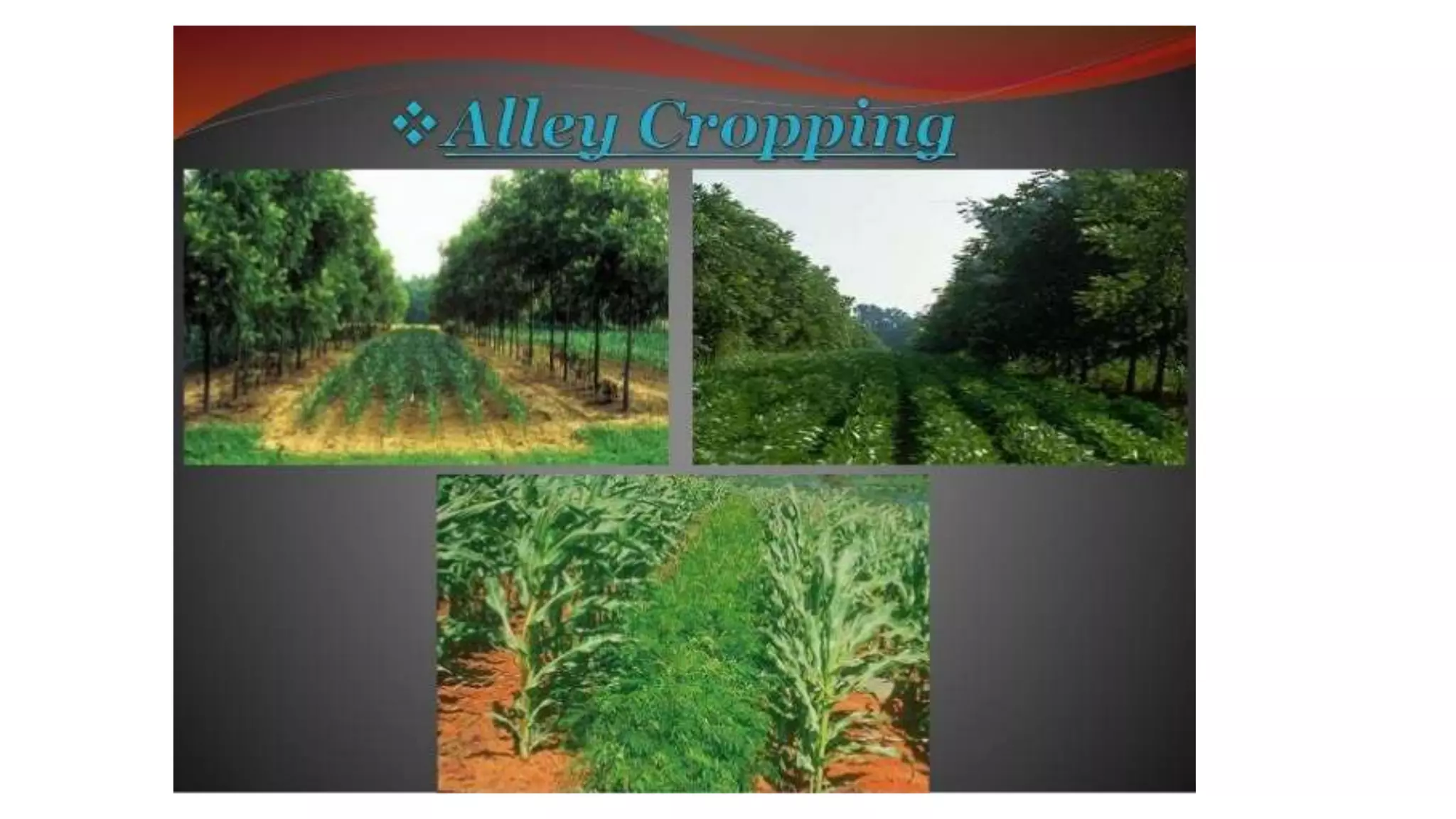 To develop a model cropping system | PPTX