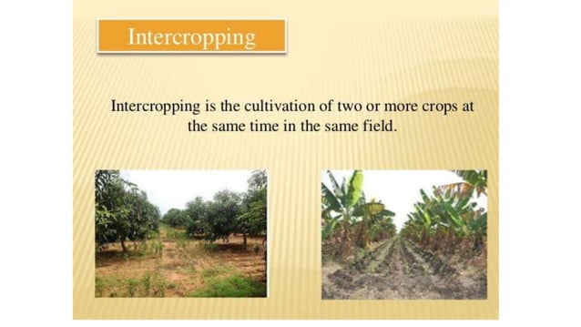 To develop a model cropping system | PPTX