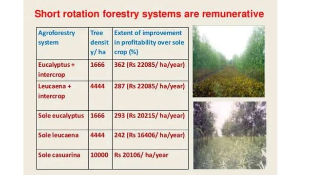 To develop a model cropping system | PPTX