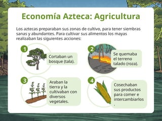 Los aztecas, su espacio geografico, orden | PPTX