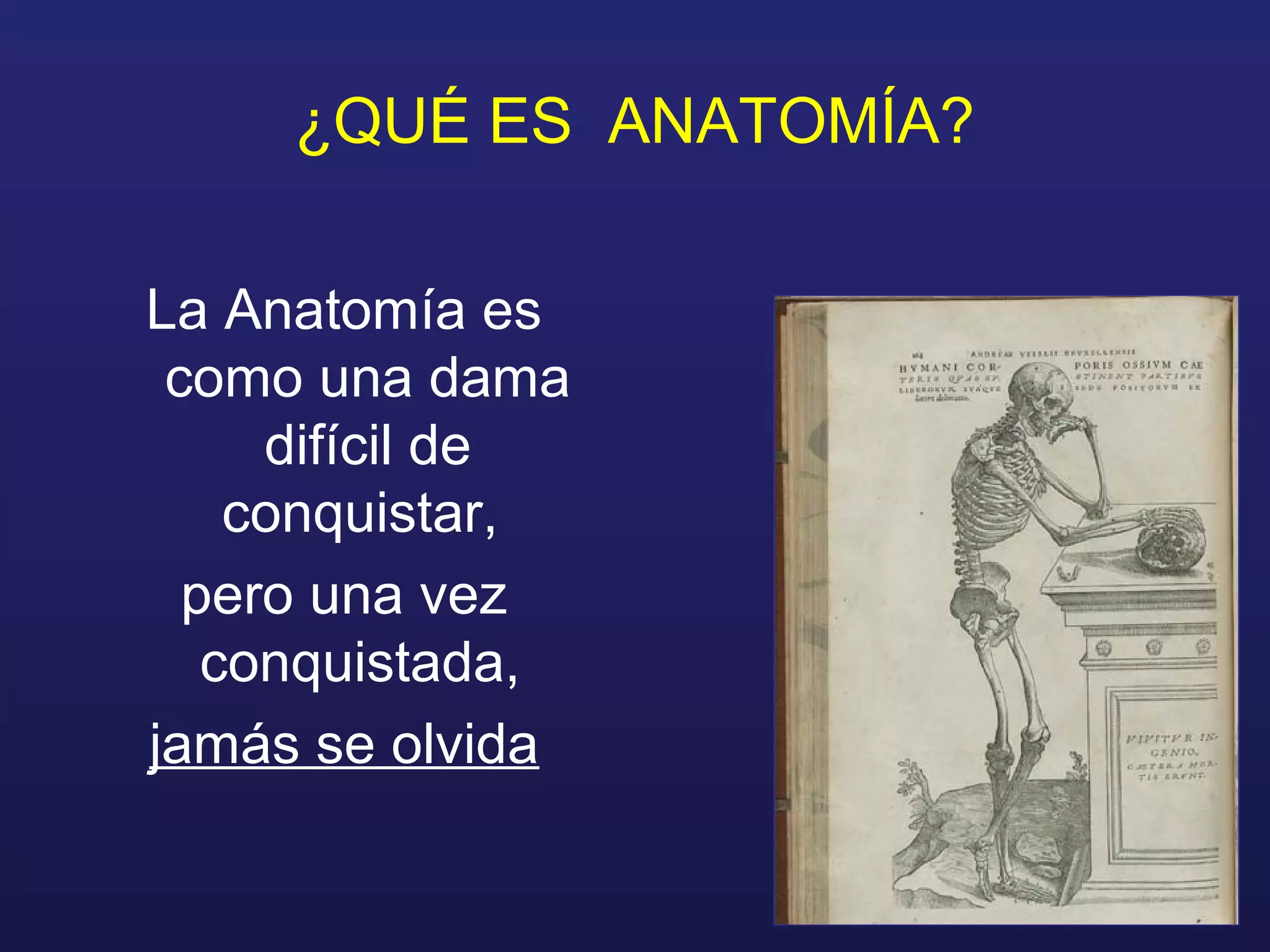 Todo de generalidades de anatomia | PPT