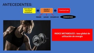 FISIOPATOLOGIA | PPTX