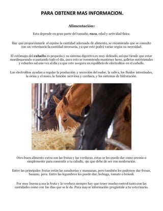 Todo lo que debes saber sobre caballos | DOCX