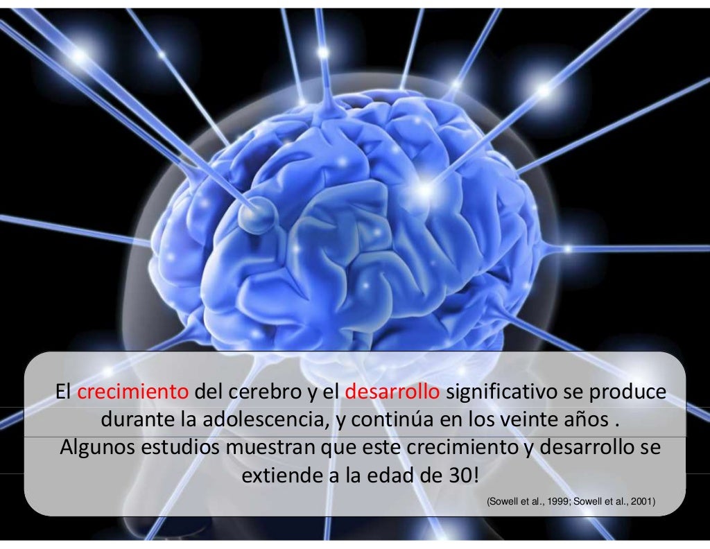 Todo lo que necesitas saber sobre el cerebro del adolescente