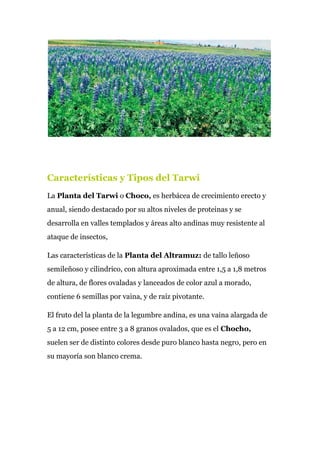 Todo sobre el tarwi | PDF