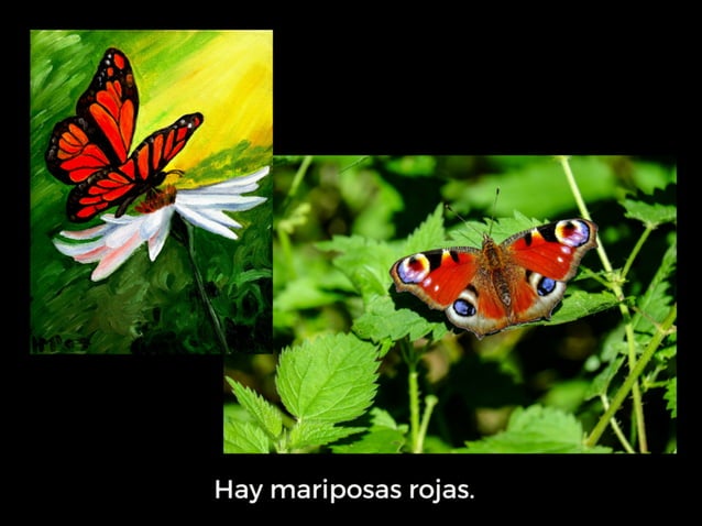 Todo sobre las mariposas | PPT