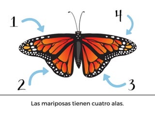 Todo sobre las mariposas | PPT