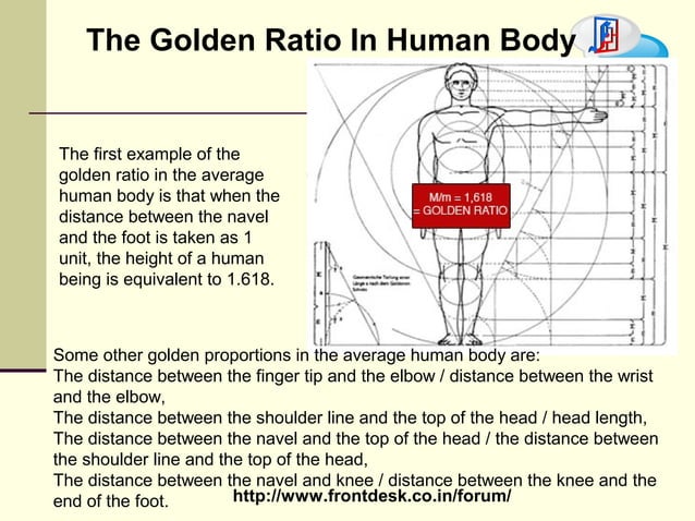 Tod principle of architecture | PPT