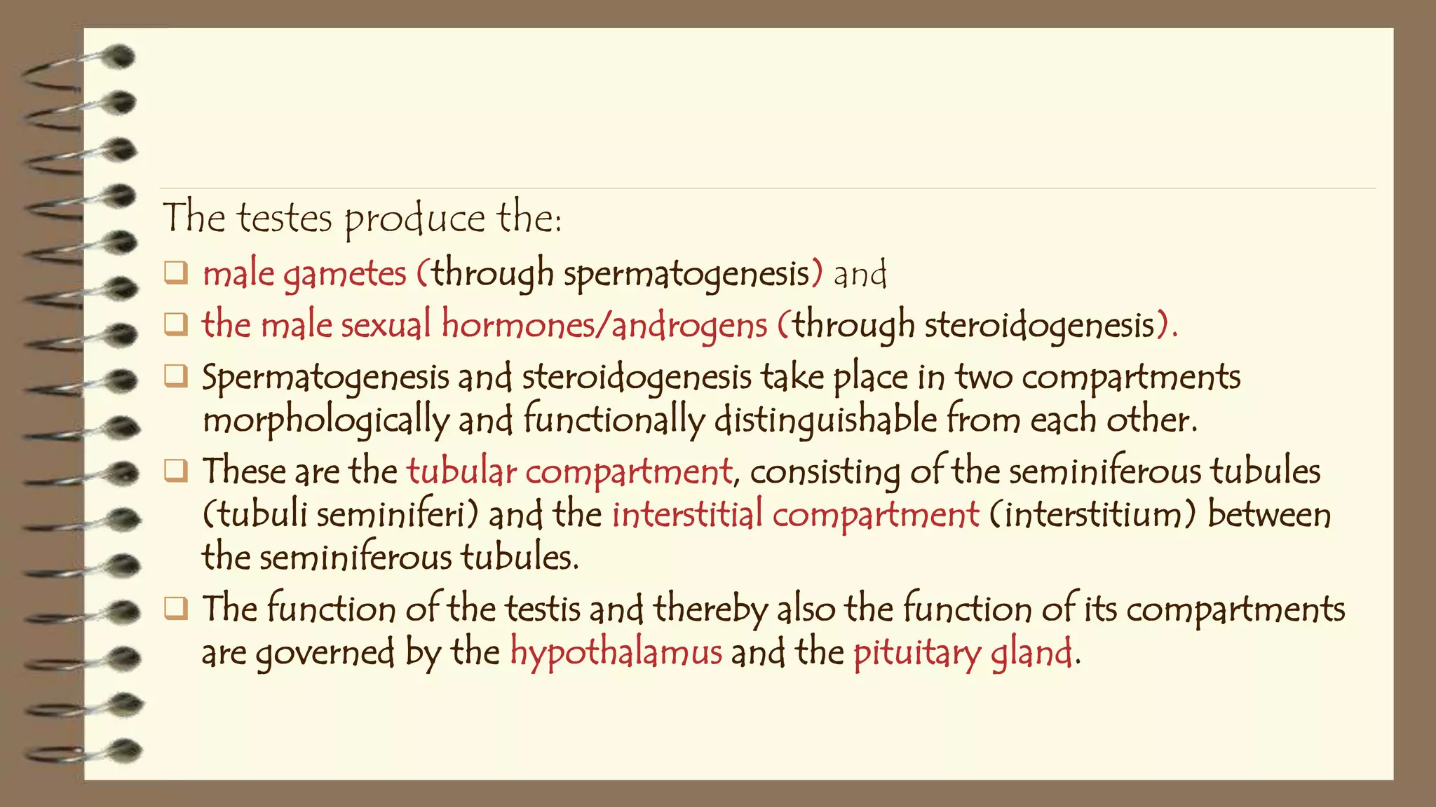 HORMONAL CONTROL OF TESTICULAR FUNCTION | PPTX