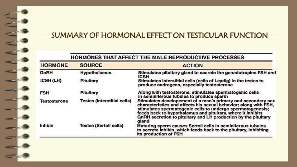 Hormonal Control Of Testicular Function