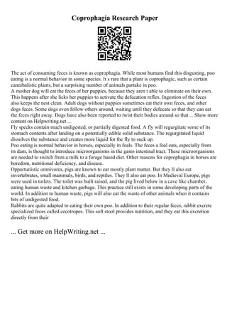 Toefl Essay Examples Free | PDF