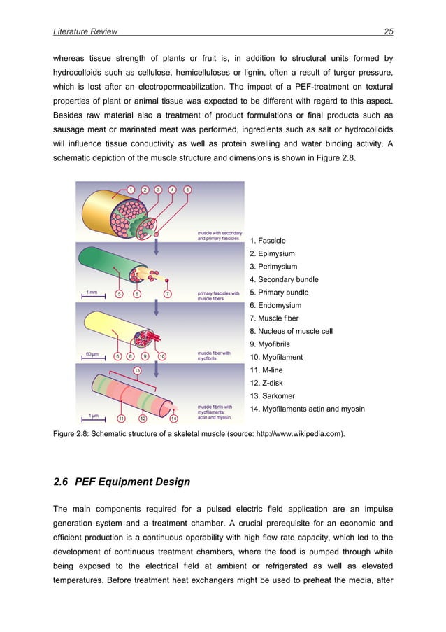 Pulsed Electric Fields (PEF) for Permeabilization of Cell Membranes in ...