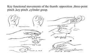 TOE to THUMB transfer ppt.pptx