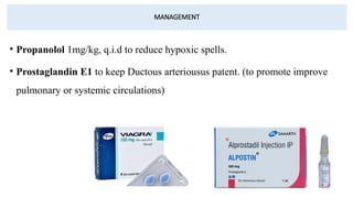 Tetralogy of Fallot from B.SC nursing 6th semester | PPT