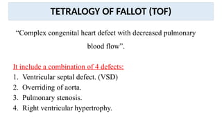 Tetralogy of Fallot from B.SC nursing 6th semester | PPTX