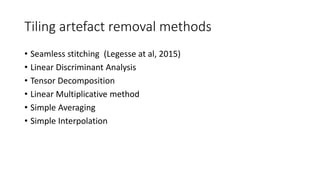 The painful removal of tiling artefacts in hypersprectral data | PPTX | Needlework | Arts and Crafts