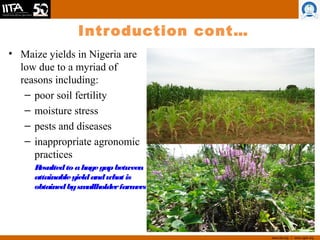 Simulating response of drought-tolerant maize varieties to planting ...