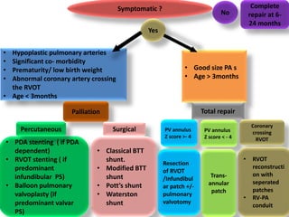 TETRALOGY OF FALLOT | PPTX