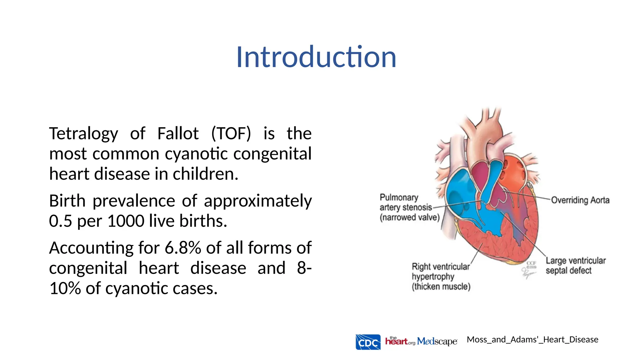 TOF_echocardiographic asssessment-seminar | PPTX
