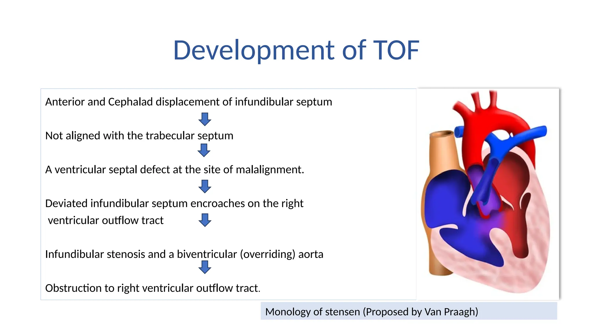 TOF_echocardiographic asssessment-seminar | PPTX