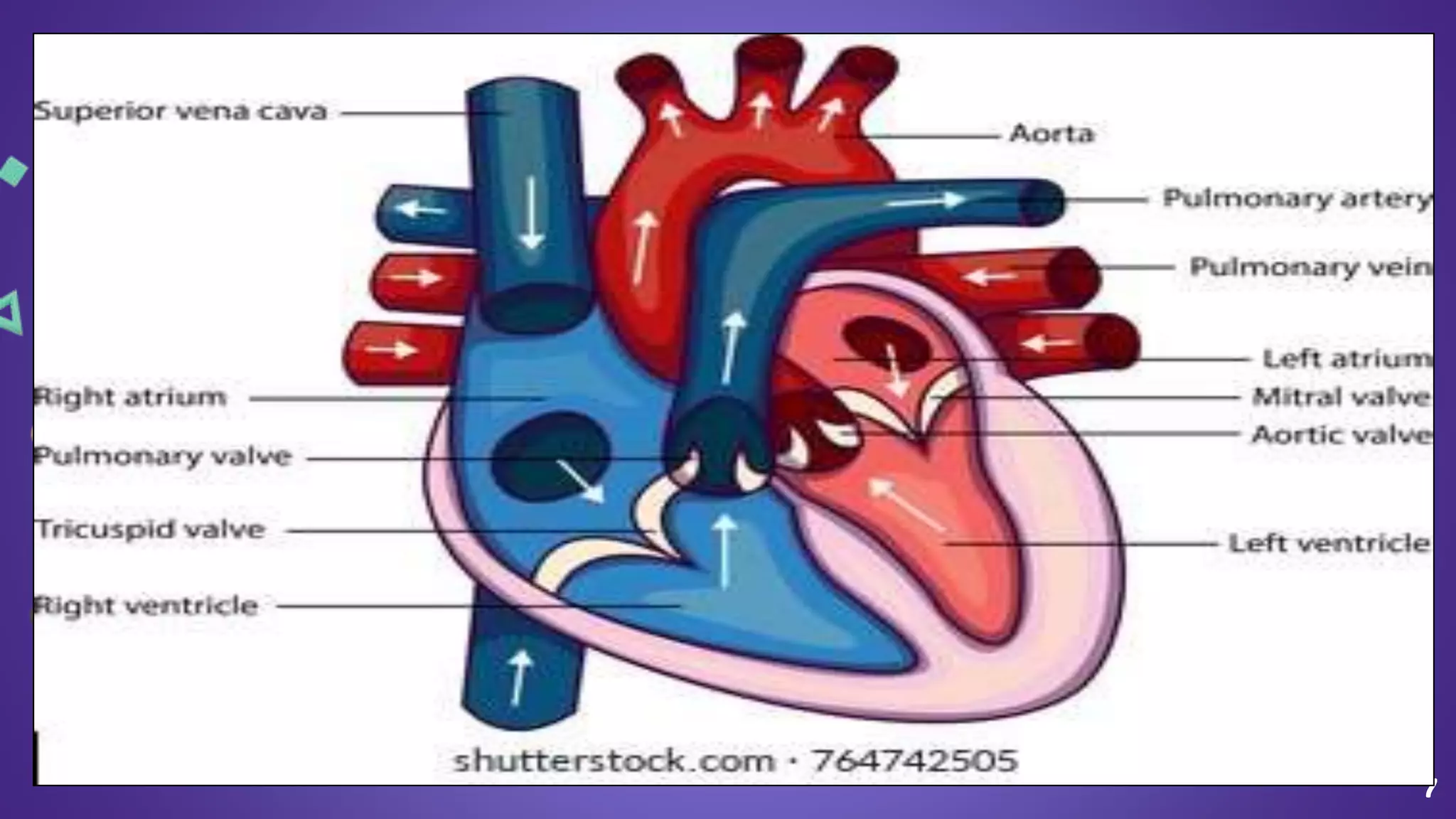 TOA (TRANSPOSION OF GREAT ARTERIES) | PPTX
