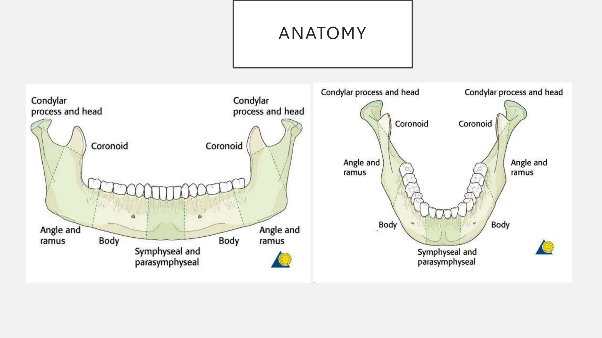 TO fraktur mandibula of oral and maxillofasial surgerypptx | PPTX