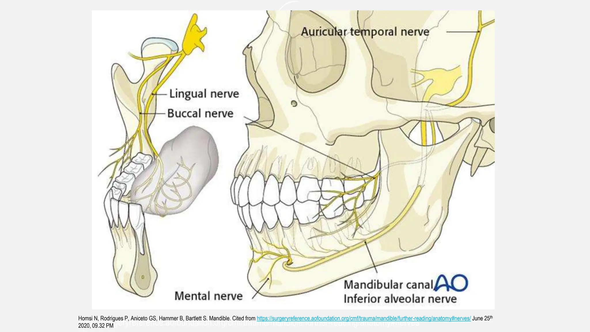 TO fraktur mandibula of oral and maxillofasial surgerypptx | PPTX