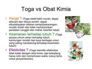 Toga | PPTX