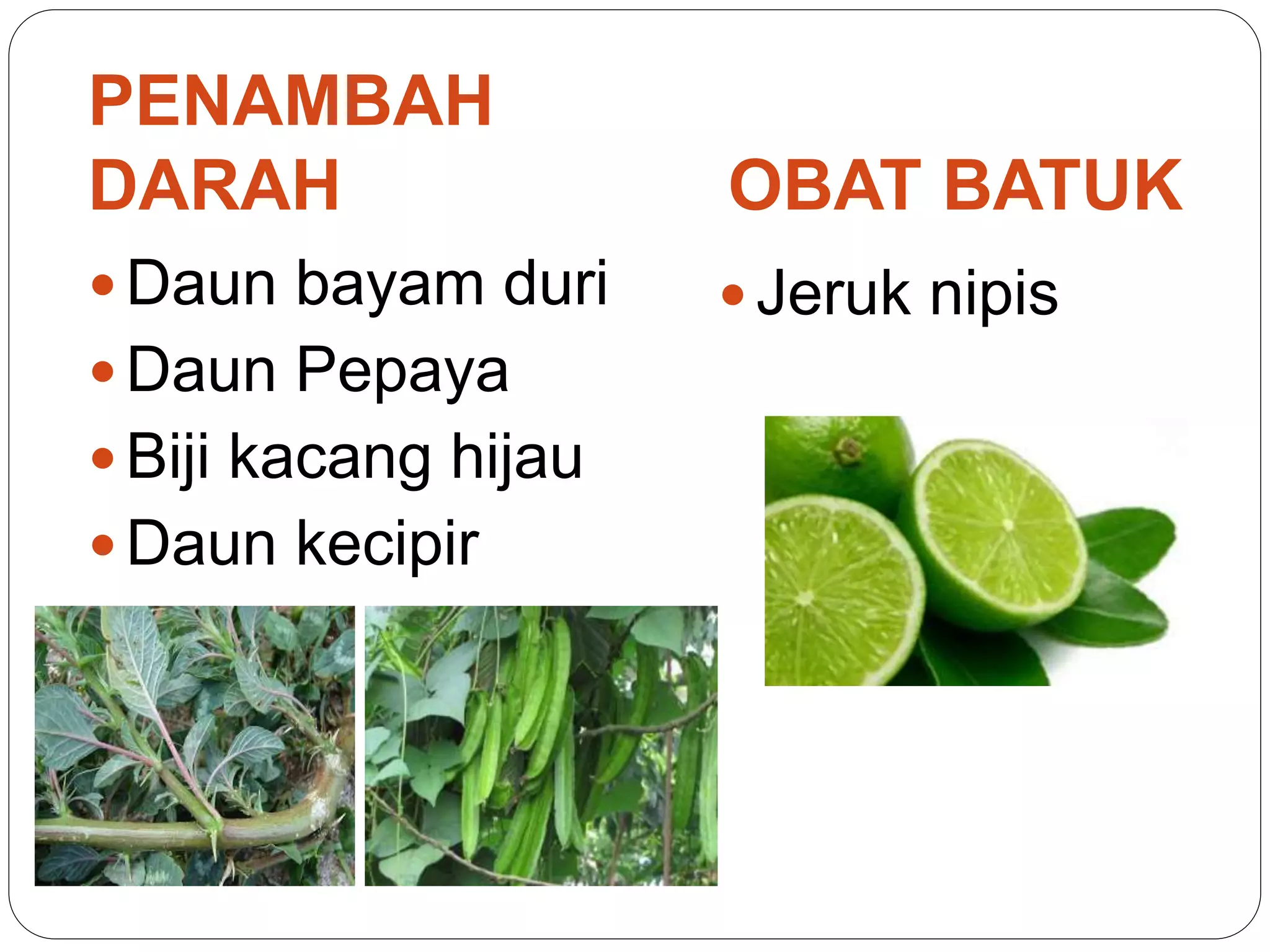 TOGA.pptx