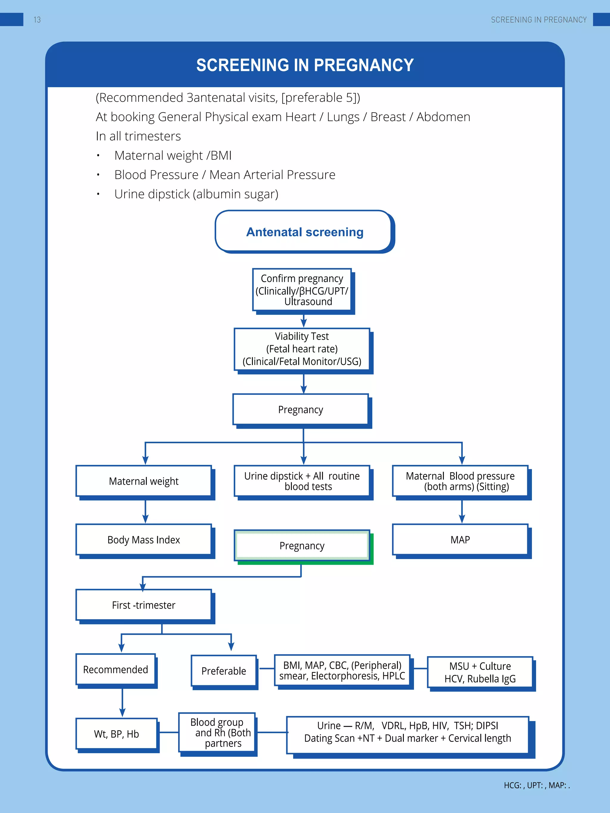 ANTENATAL SCREENING ALGORITHM | PDF