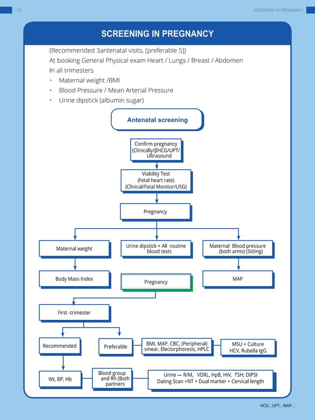 ANTENATAL SCREENING ALGORITHM | PDF | Pregnancy | Reproductive Health