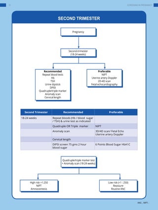 ANTENATAL SCREENING ALGORITHM | PDF