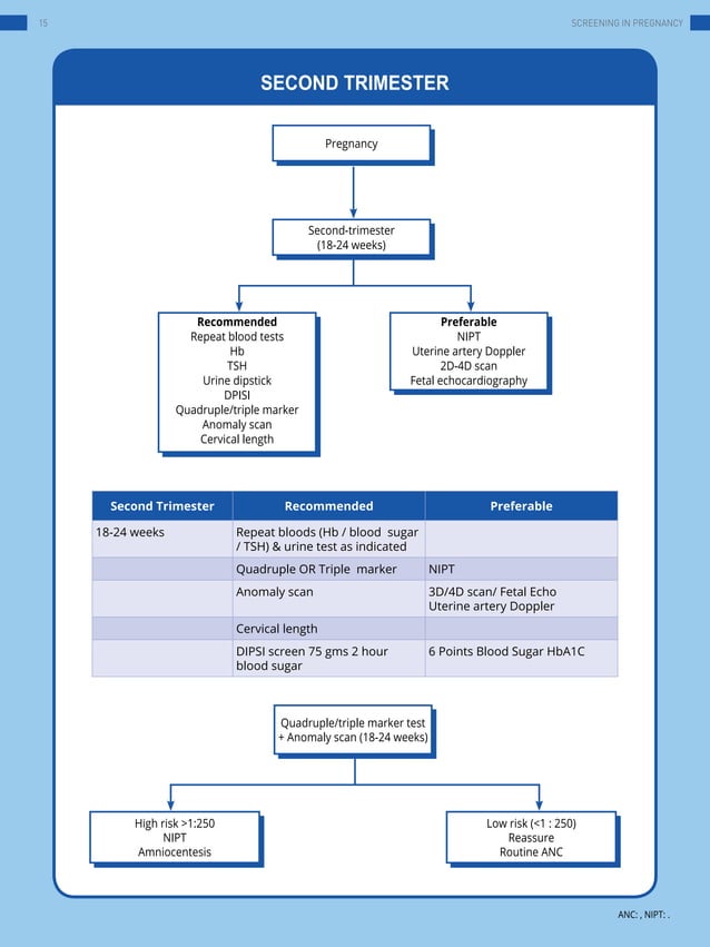 ANTENATAL SCREENING ALGORITHM | PDF | Pregnancy | Reproductive Health