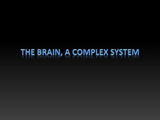 Tognoli Complexity: Weather Vs. Brain | PPT