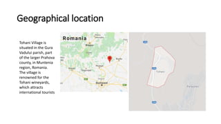 Tohani village presentation cristina golea | PPTX