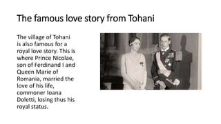 Tohani village presentation cristina golea | PPTX