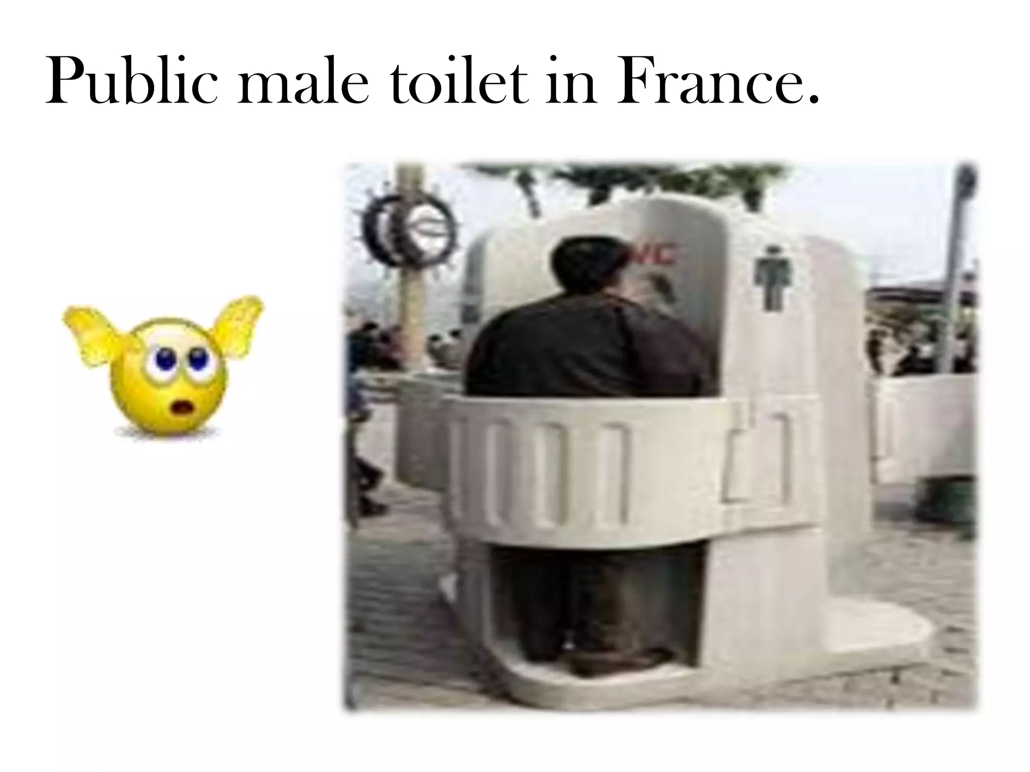Toilet humor | PPT | Free Download